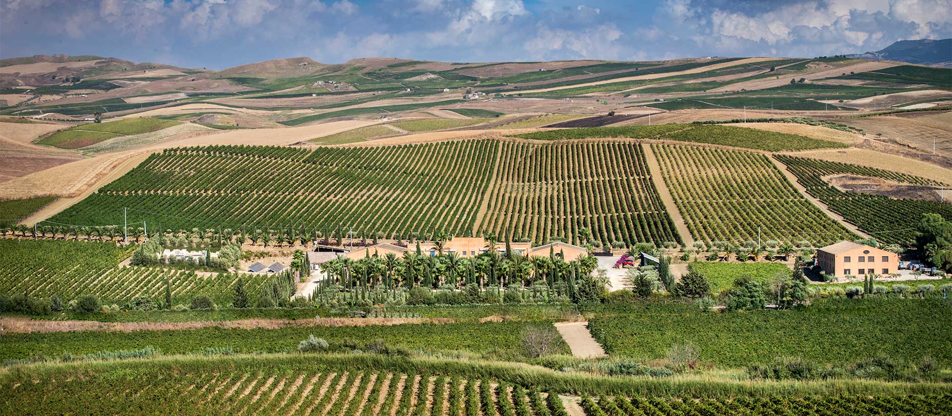Visit Contessa Entellina Winery in Western Sicily, Italy