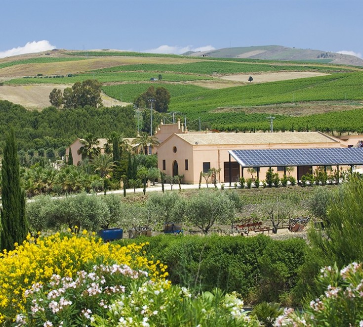 Donnafugata Wineries Tour & Wine Tasting - Sicily, Italy