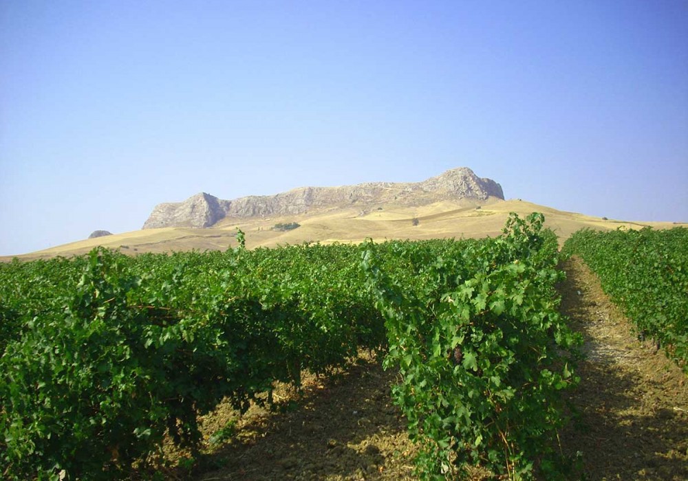 Visitare Contessa Entellina: le terre e il parco del Gattopardo